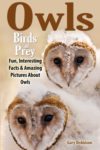Teaching Science: Owls – SPG Family Adventure Network
