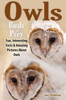 Teaching Science: Owls – SPG Family Adventure Network