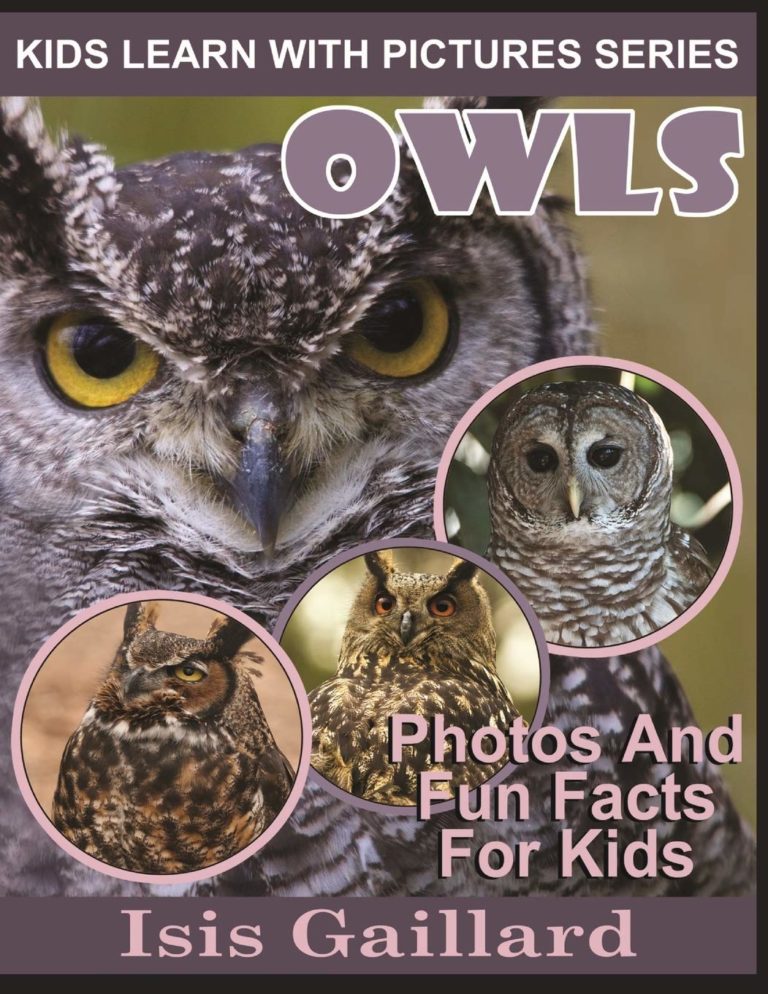 Teaching Science: Owls – SPG Family Adventure Network