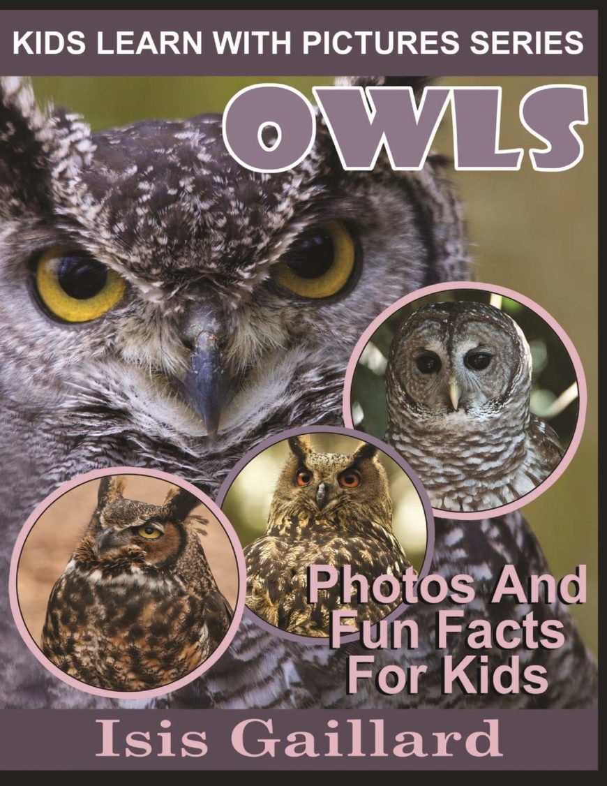 Teaching Science: Owls – SPG Family Adventure Network