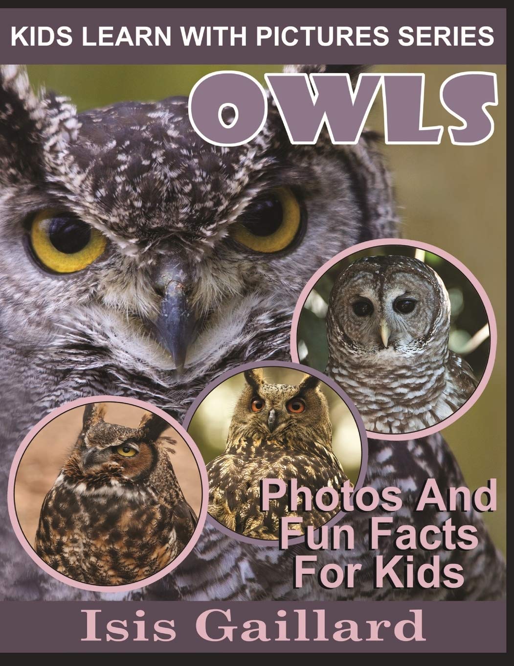 Teaching Science: Owls – SPG Family Adventure Network