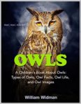 Teaching Science: Owls – SPG Family Adventure Network