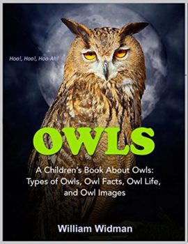 Teaching Science: Owls – SPG Family Adventure Network
