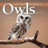 Teaching Science: Owls – SPG Family Adventure Network