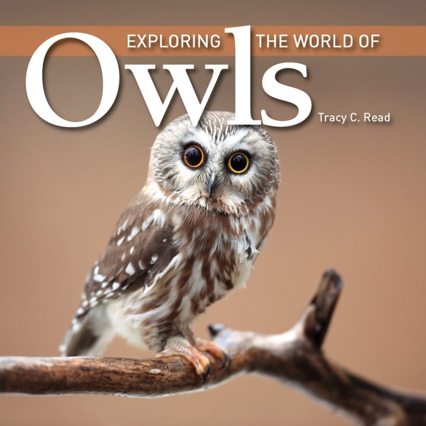 Teaching Science: Owls – SPG Family Adventure Network
