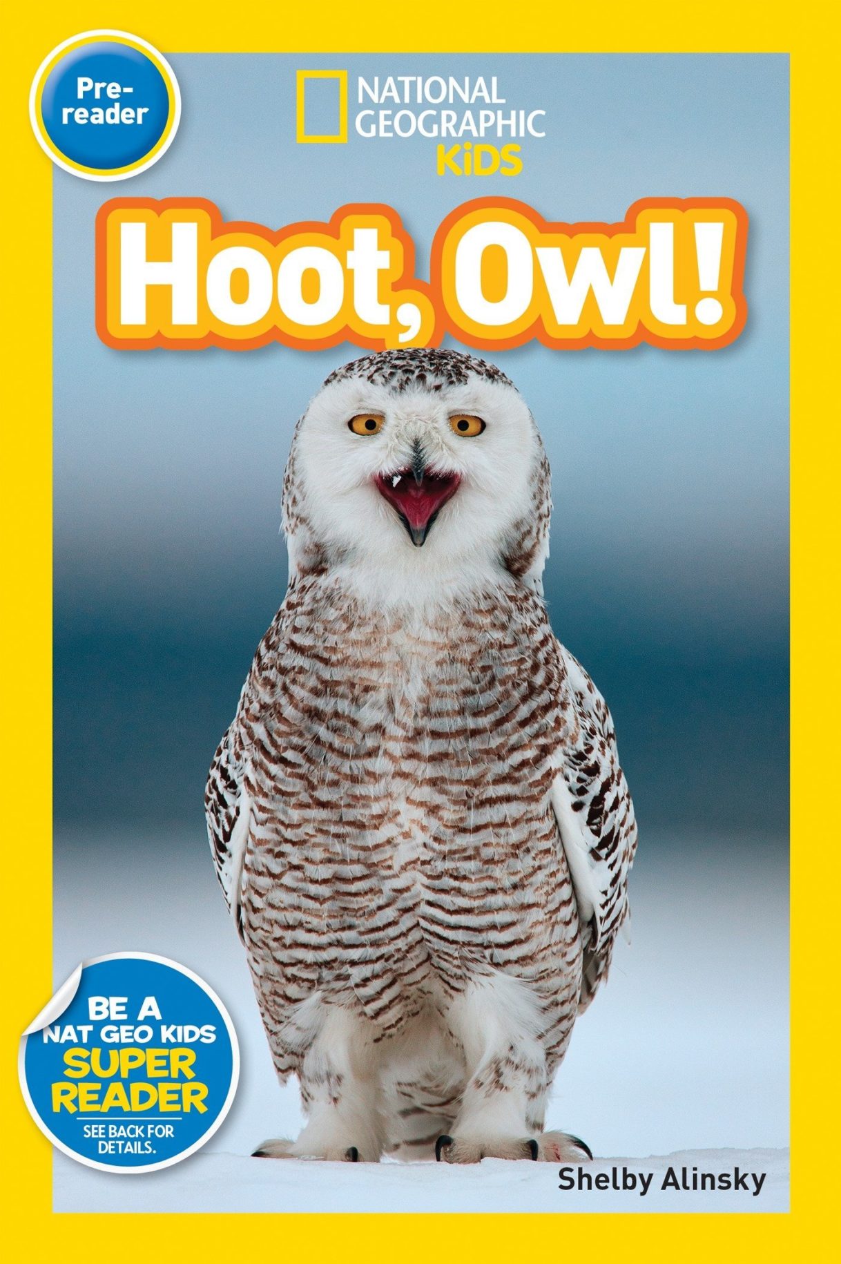 Teaching Science: Owls – SPG Family Adventure Network