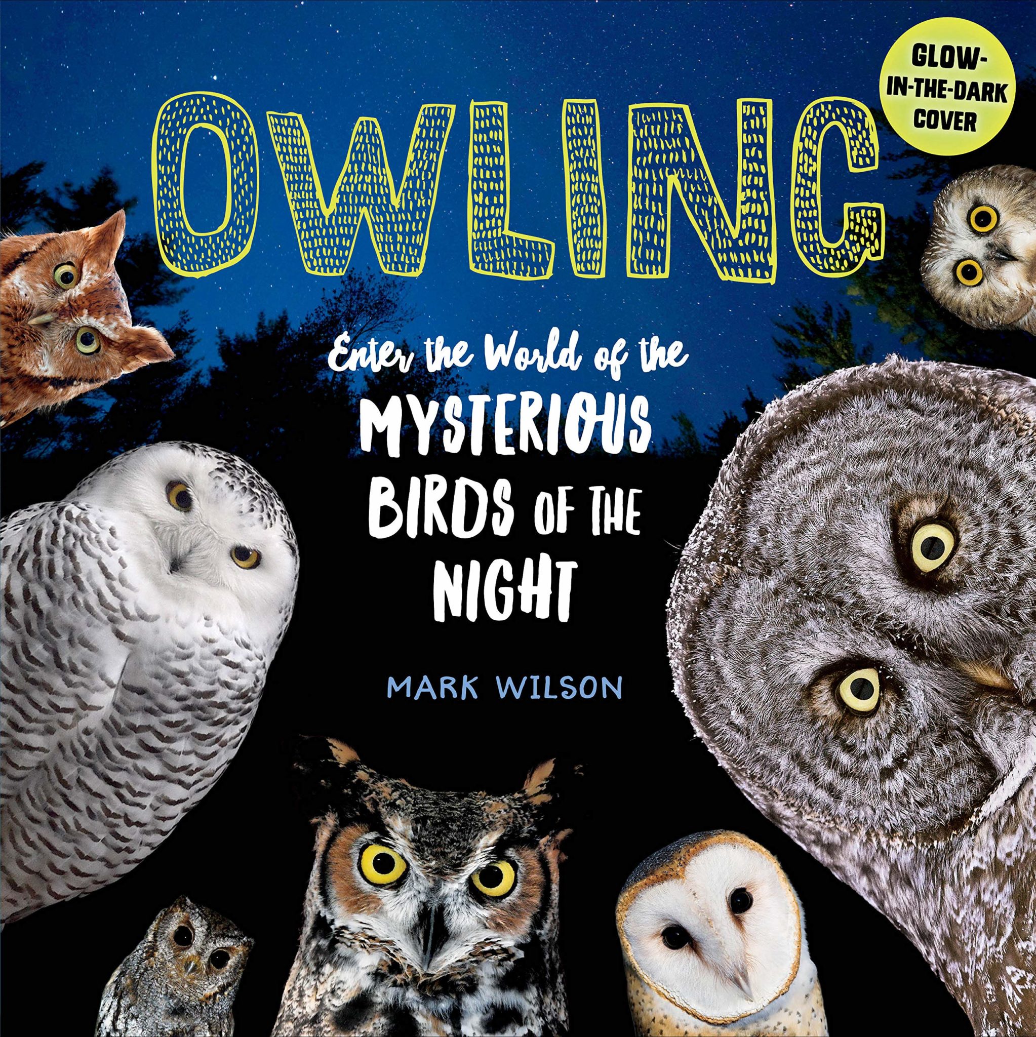 Teaching Science: Owls – SPG Family Adventure Network