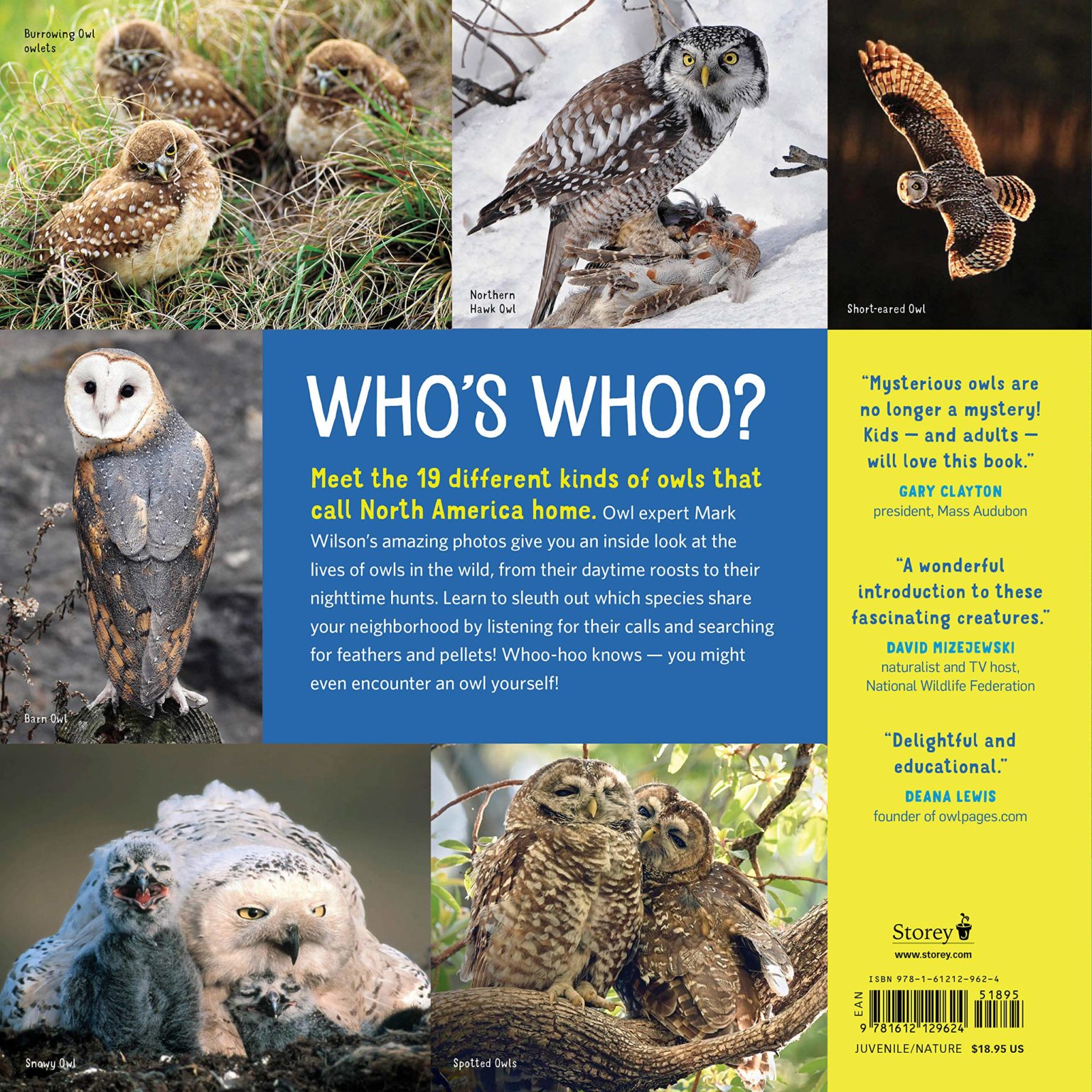 Teaching Science: Owls – SPG Family Adventure Network