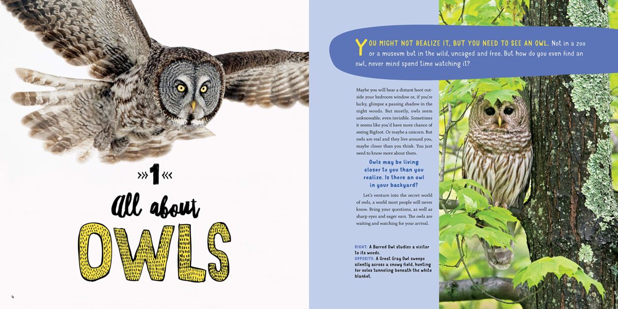 Teaching Science: Owls – SPG Family Adventure Network
