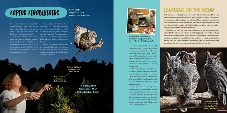 Teaching Science: Owls – SPG Family Adventure Network