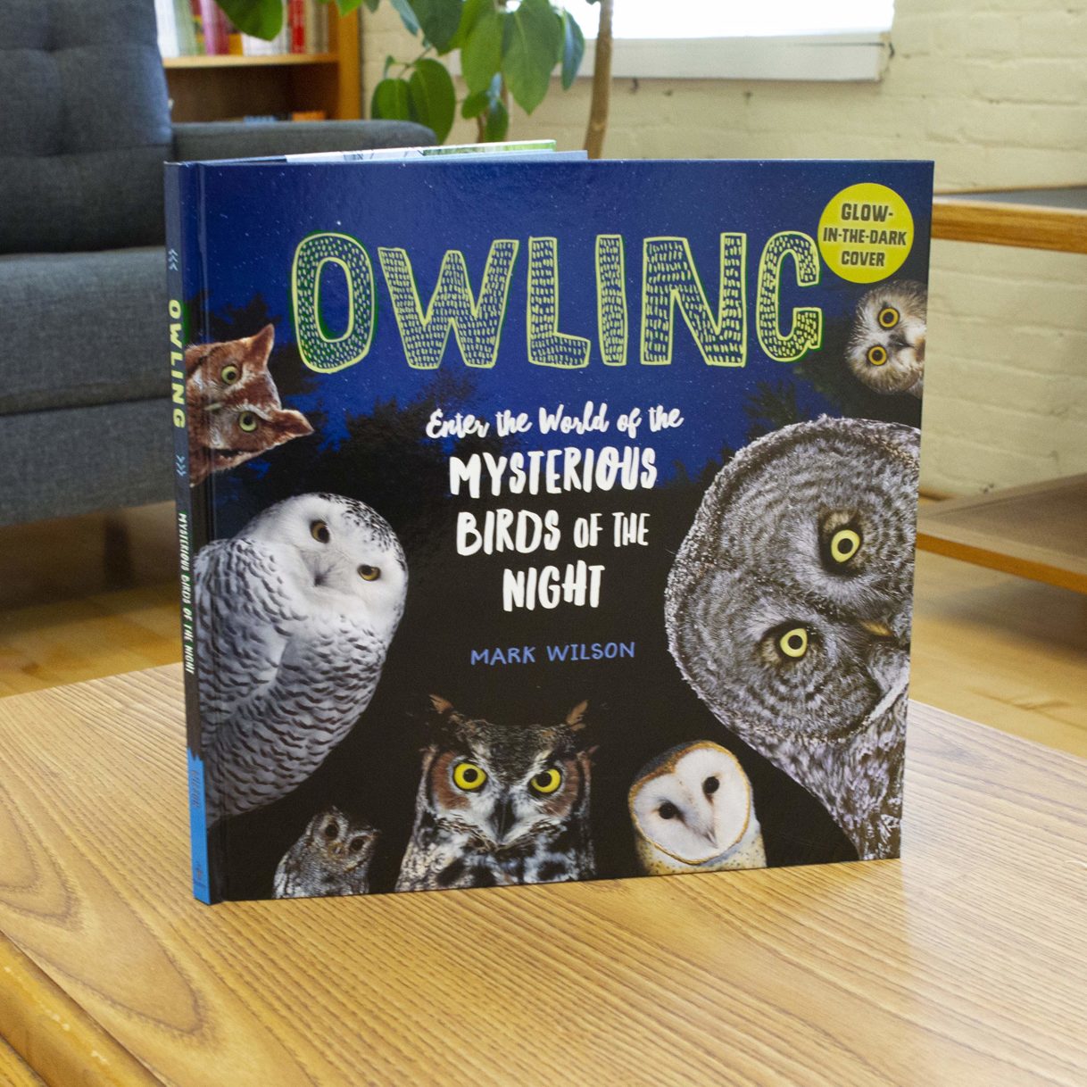 Teaching Science: Owls – SPG Family Adventure Network
