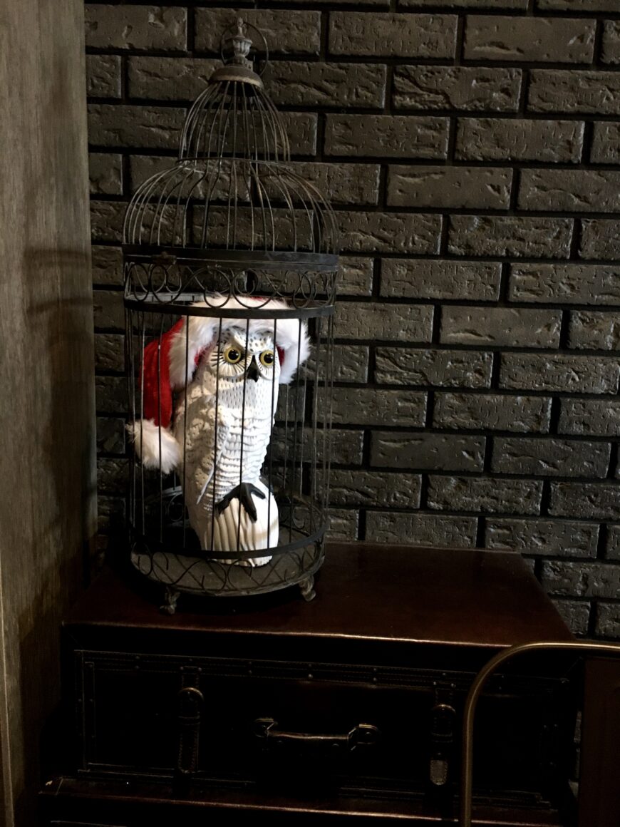 Bad Owl Coffee Roasters – A Harry Potter Themed Coffee Shop – Henderson ...