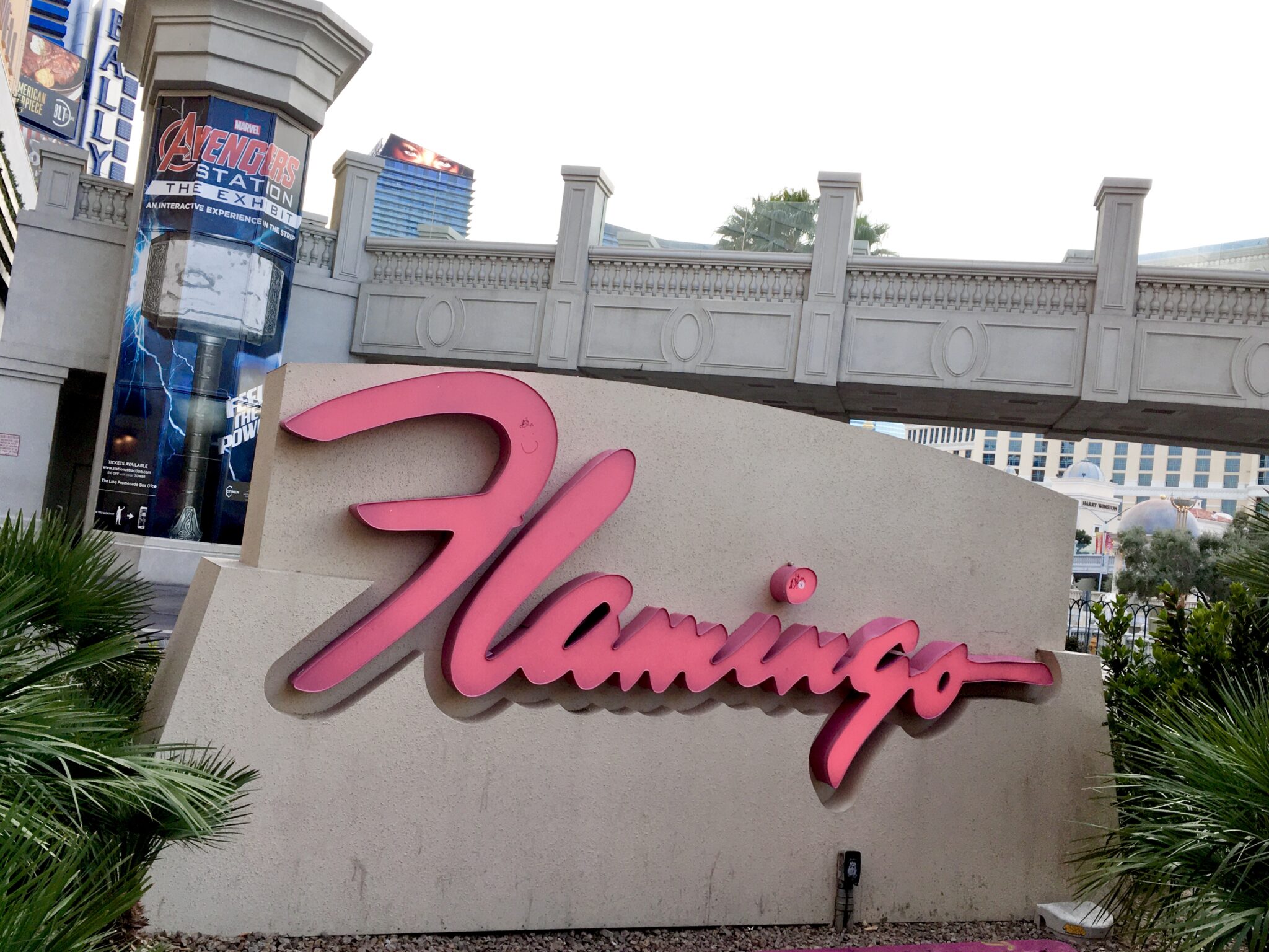 Flamingo Las Vegas Hotel and Casino – Las Vegas, Nevada – 12/05/2019 ...