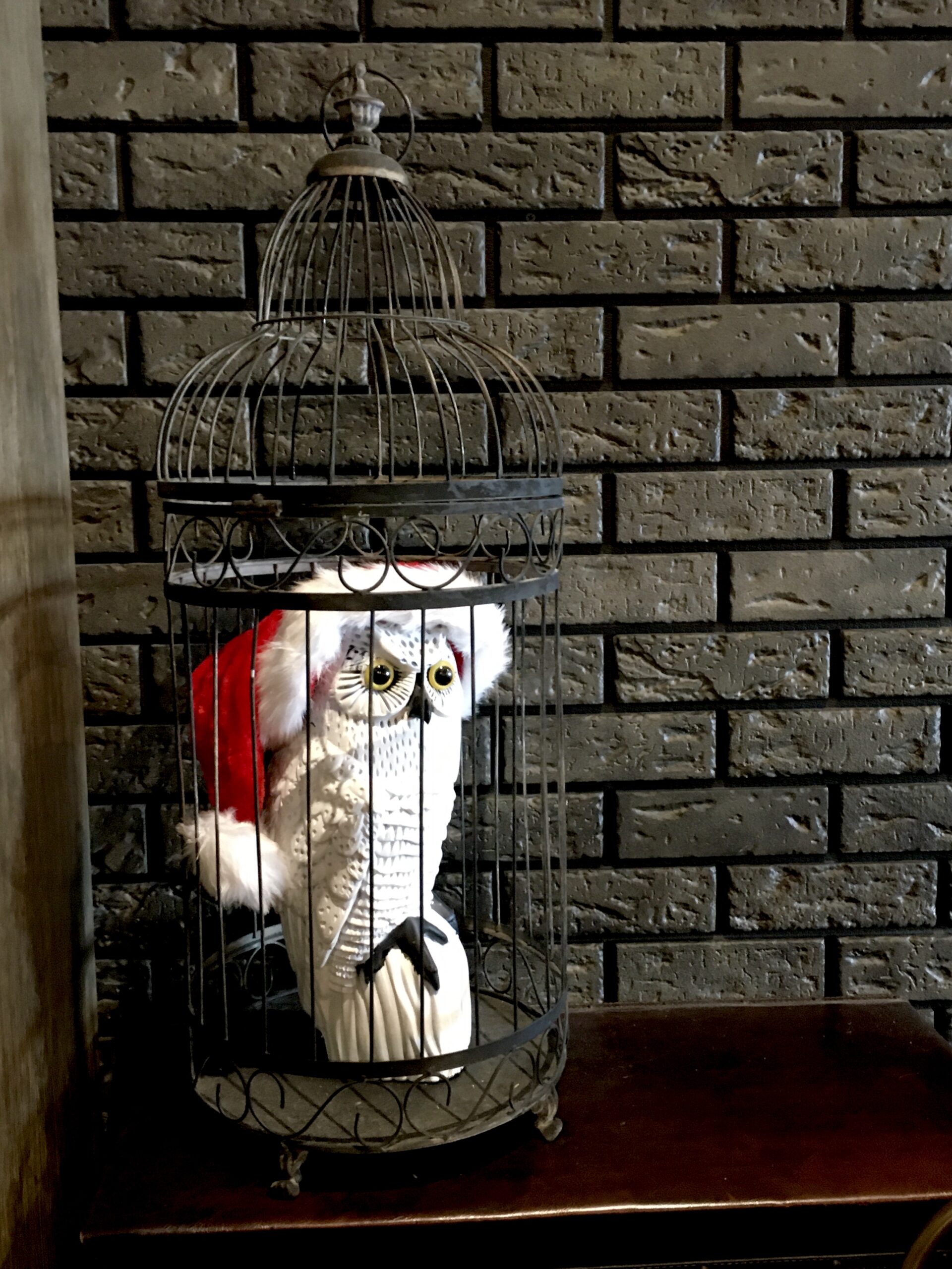 Bad Owl Coffee Roasters – A Harry Potter Themed Coffee Shop – Henderson ...