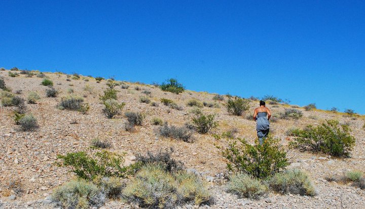 Recommended Resources: Books and Maps for the Best Day-Trip Hiking Near ...