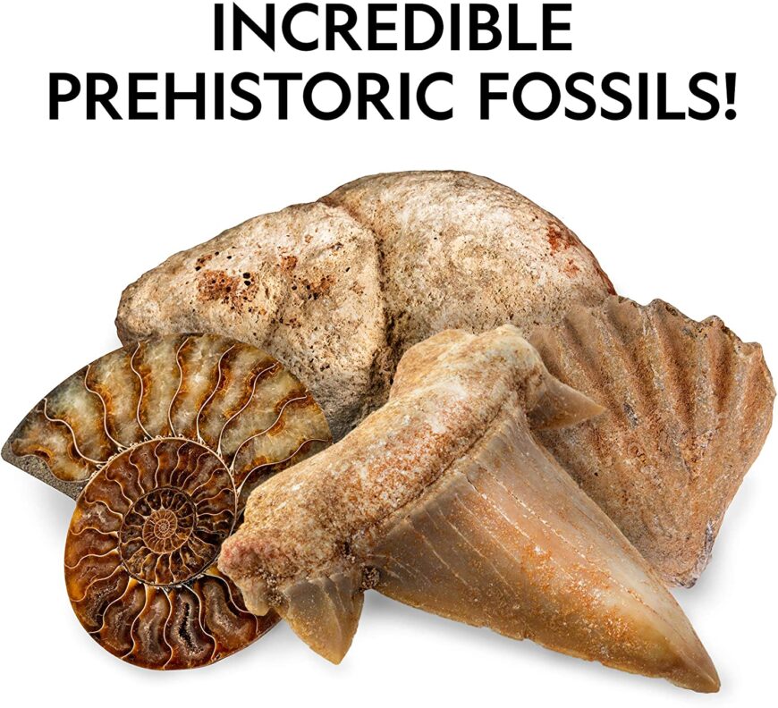 Geology: National Geographic Ultimate Rock, Mineral & Fossil Activity ...