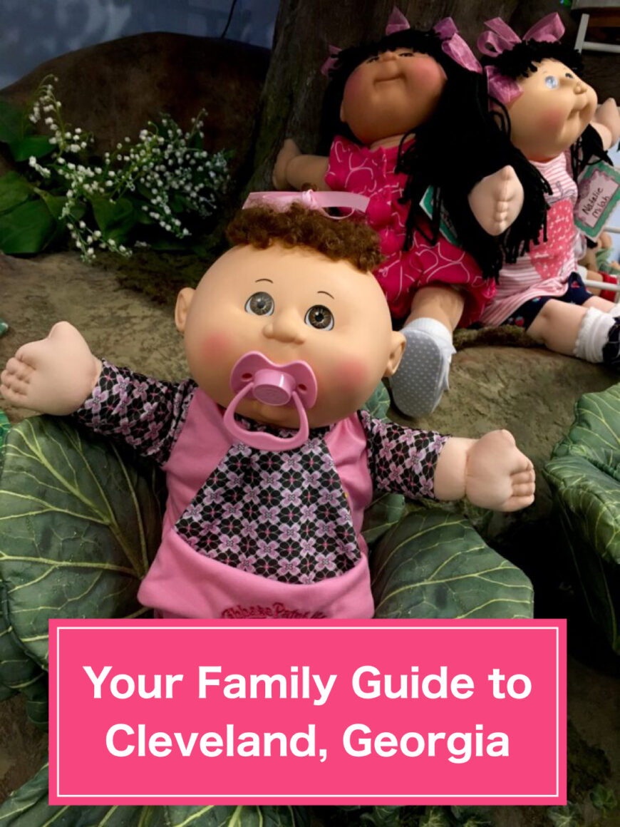 YOUR Family Guide to Cleveland, Georgia! ALL of the Coolest Things to ...