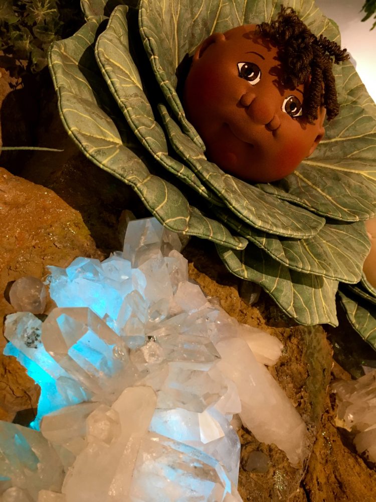 YOUR Family Guide to Cleveland, Georgia! ALL of the Coolest Things to ...