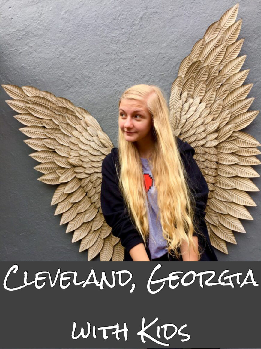 YOUR Family Guide to Cleveland, Georgia! ALL of the Coolest Things to ...