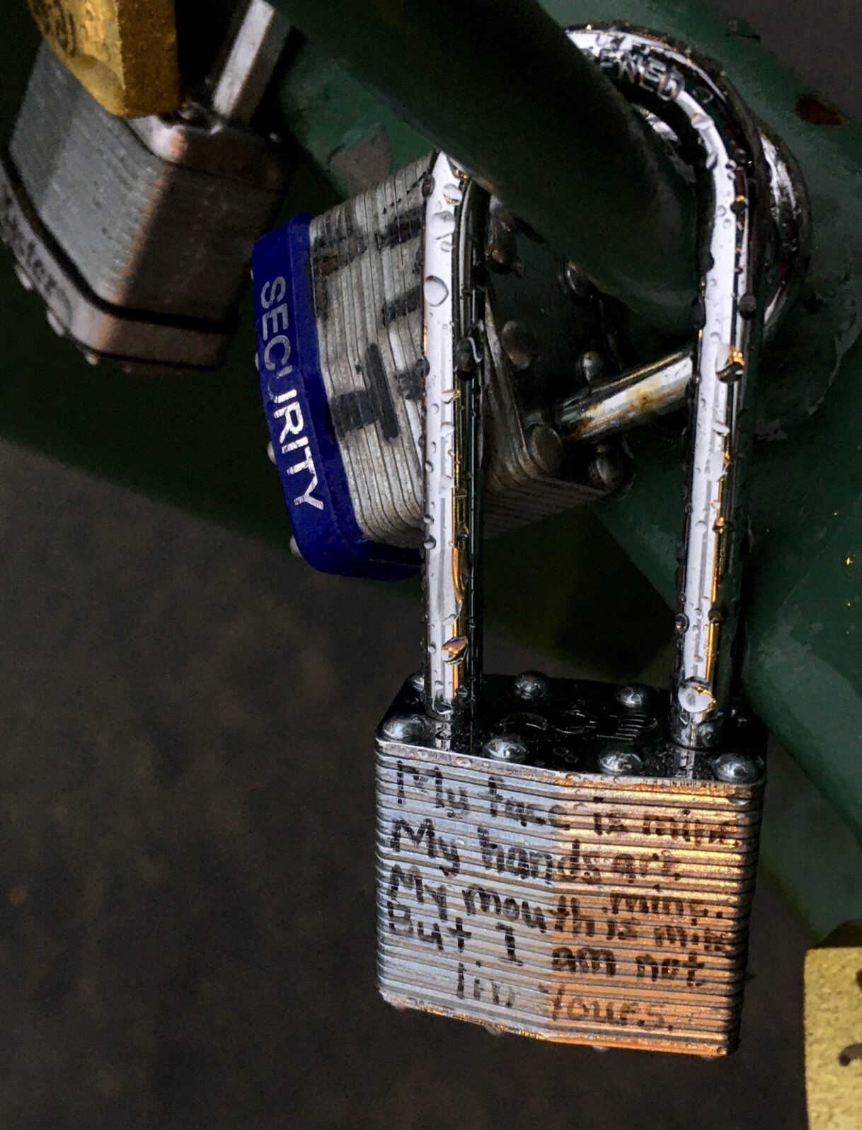 Love Locks on the Chattahoochee River – Helen, Georgia – 02/12/2021 ...