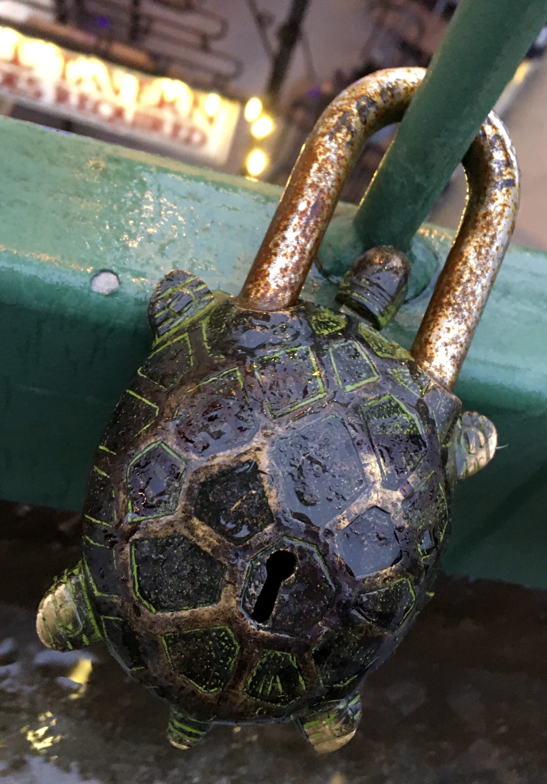 Love Locks on the Chattahoochee River – Helen, Georgia – 02/12/2021 ...