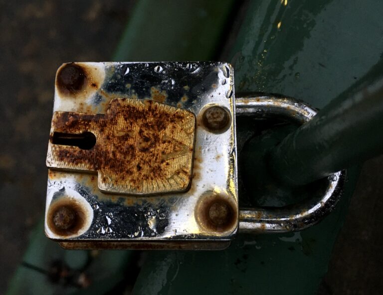 Love Locks on the Chattahoochee River – Helen, Georgia – 02/12/2021 ...