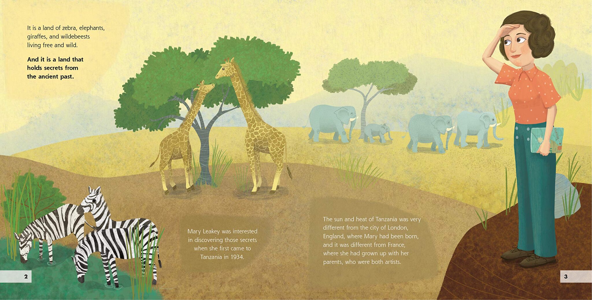 SCIENCE: Fossil Huntress: Mary Leakey, Paleontologist (Picture Book ...