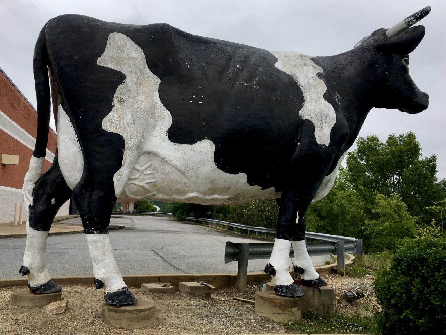 Kadie the Cow – Columbus, Georgia – 05/05/2021 – SPG Family Adventure ...