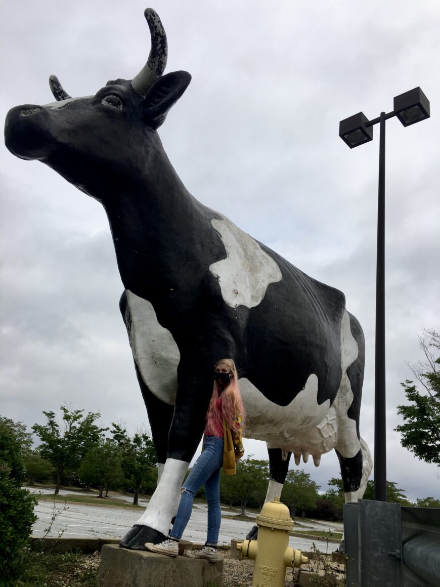 Kadie the Cow – Columbus, Georgia – 05/05/2021 – SPG Family Adventure ...