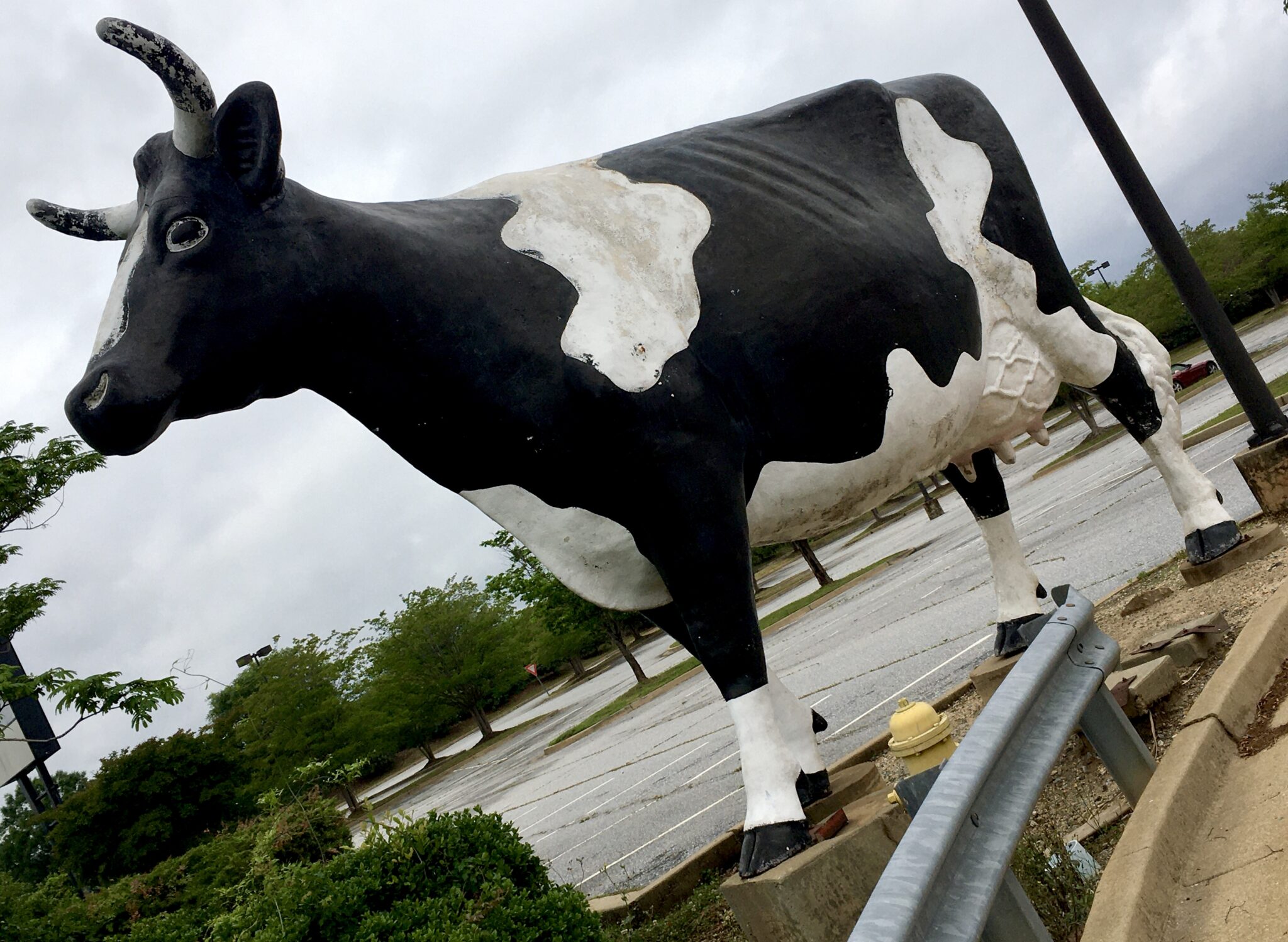 Kadie the Cow – Columbus, Georgia – 05/05/2021 – SPG Family Adventure ...