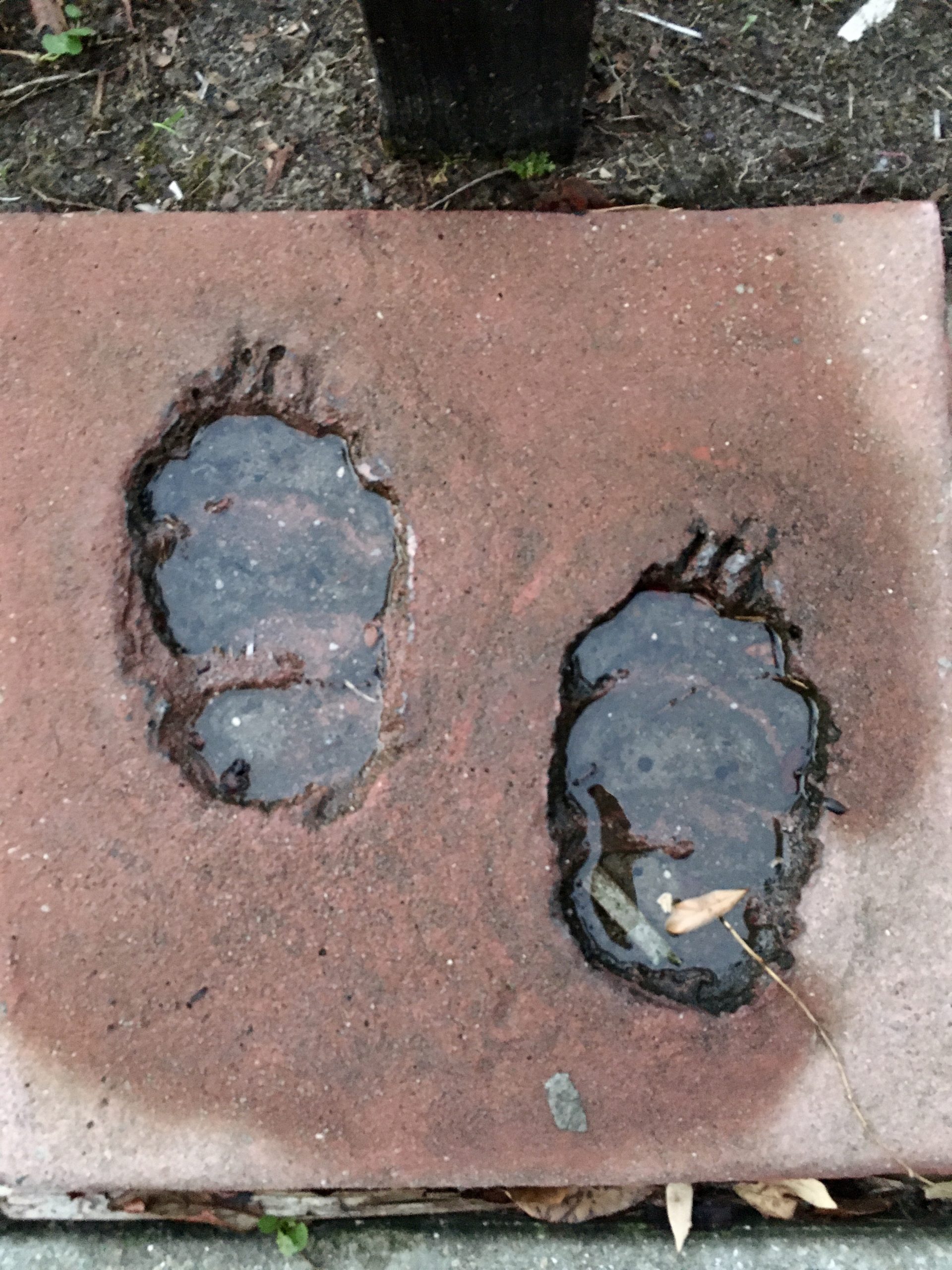 Animal Tracks of Florida’s Wildlife Exhibit at the I-75 Welcome Center ...