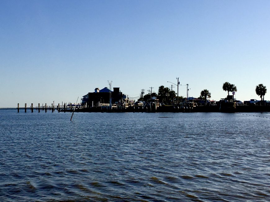 Everything Else! Random Shots on Cedar Key Beach Album Four – Cedar Key ...