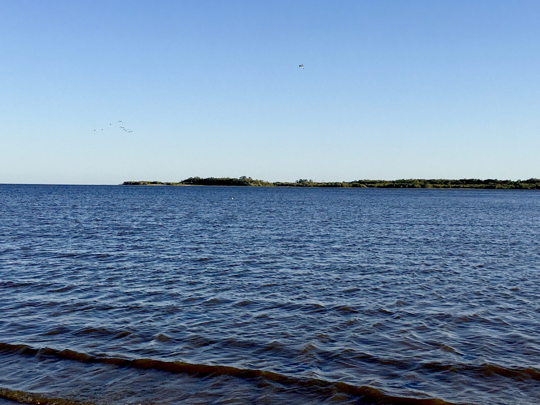 Everything Else! Random Shots on Cedar Key Beach Album Four – Cedar Key ...