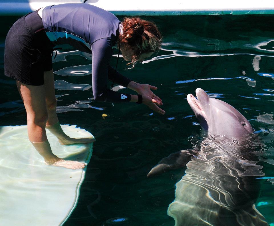 Clearwater Marine Aquarium: Home of Winter the Dolphin – Clearwater ...