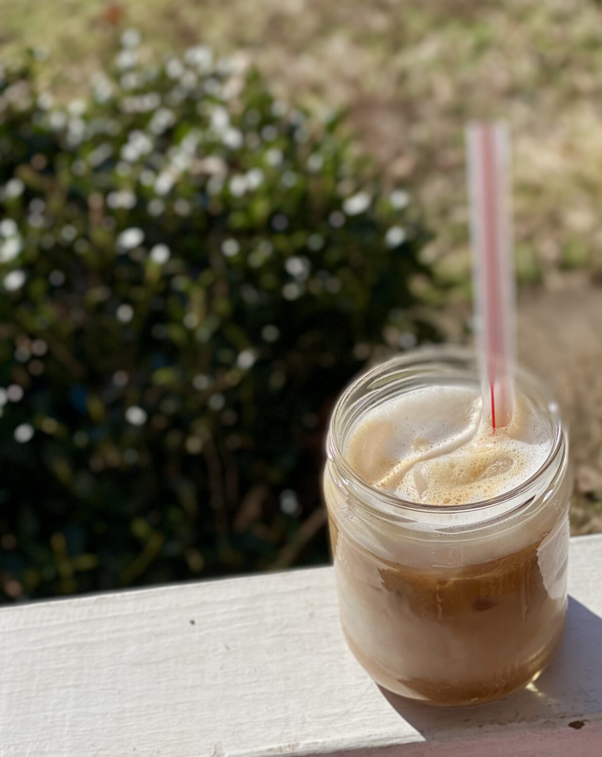 Iced Lattes and a Little Porch Sitting – Athens, Georgia – 01/14/2022 ...