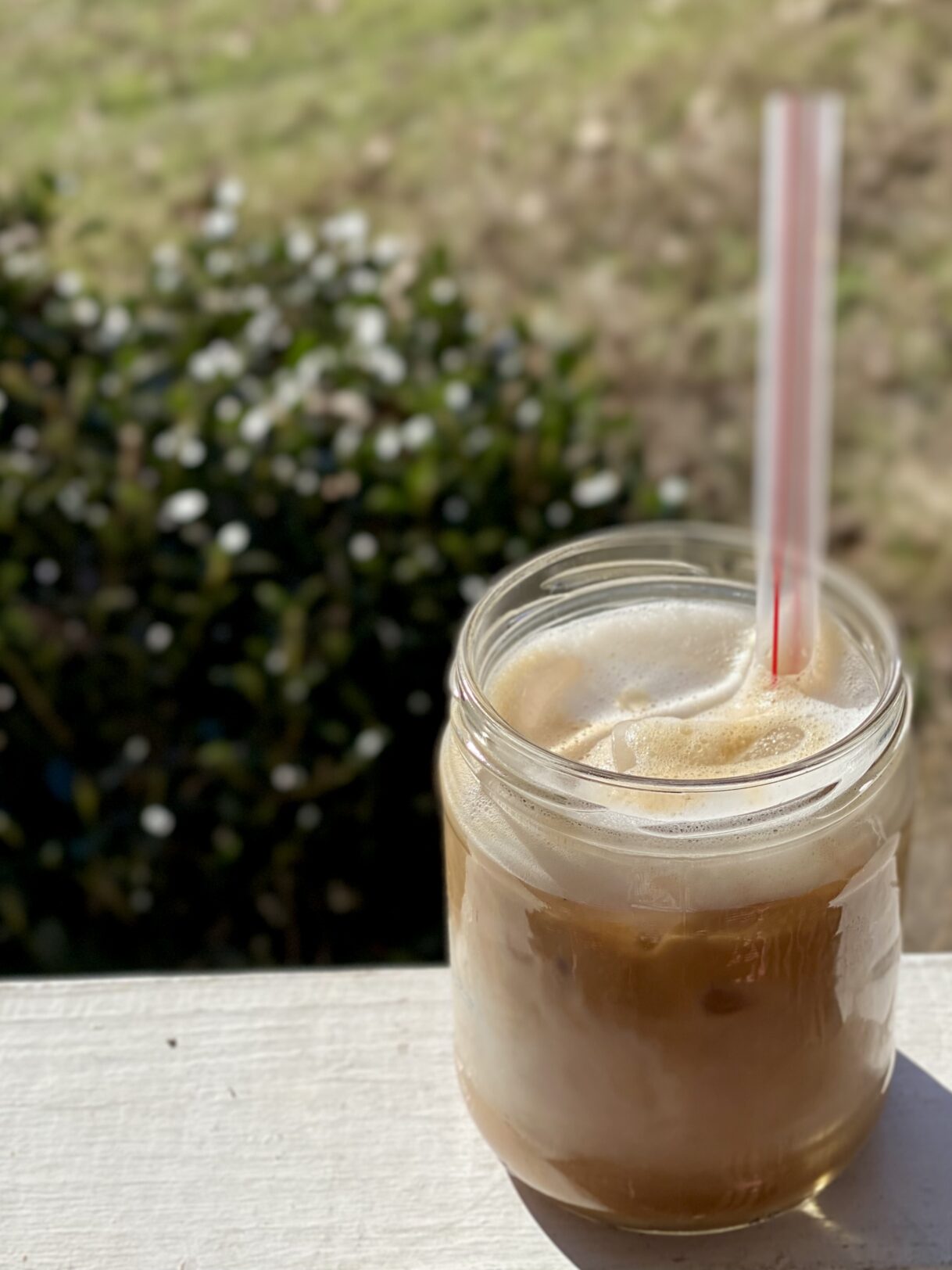 Iced Lattes and a Little Porch Sitting – Athens, Georgia – 01/14/2022 ...