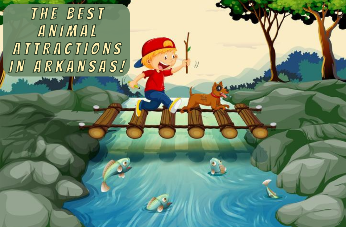 The Best Animal Attractions in Arkansas! – SPG Family Adventure Network