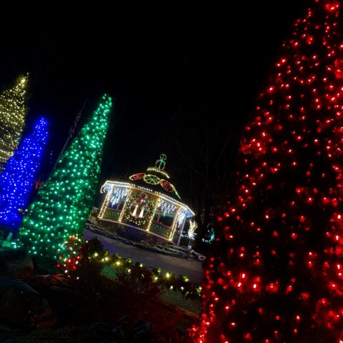 ACM Reciprocal Network – Association of Children’s Museums – SPG Family ...