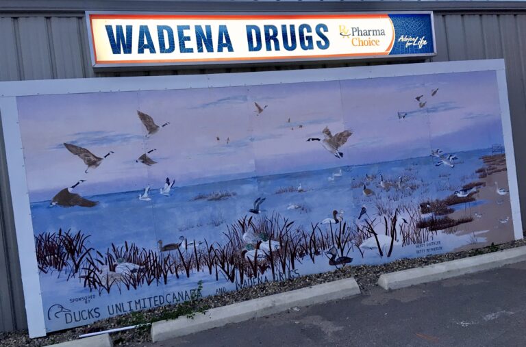 Rural Canadian Street Art – Wadena, Saskatchewan – 06/05/2018 – SPG ...