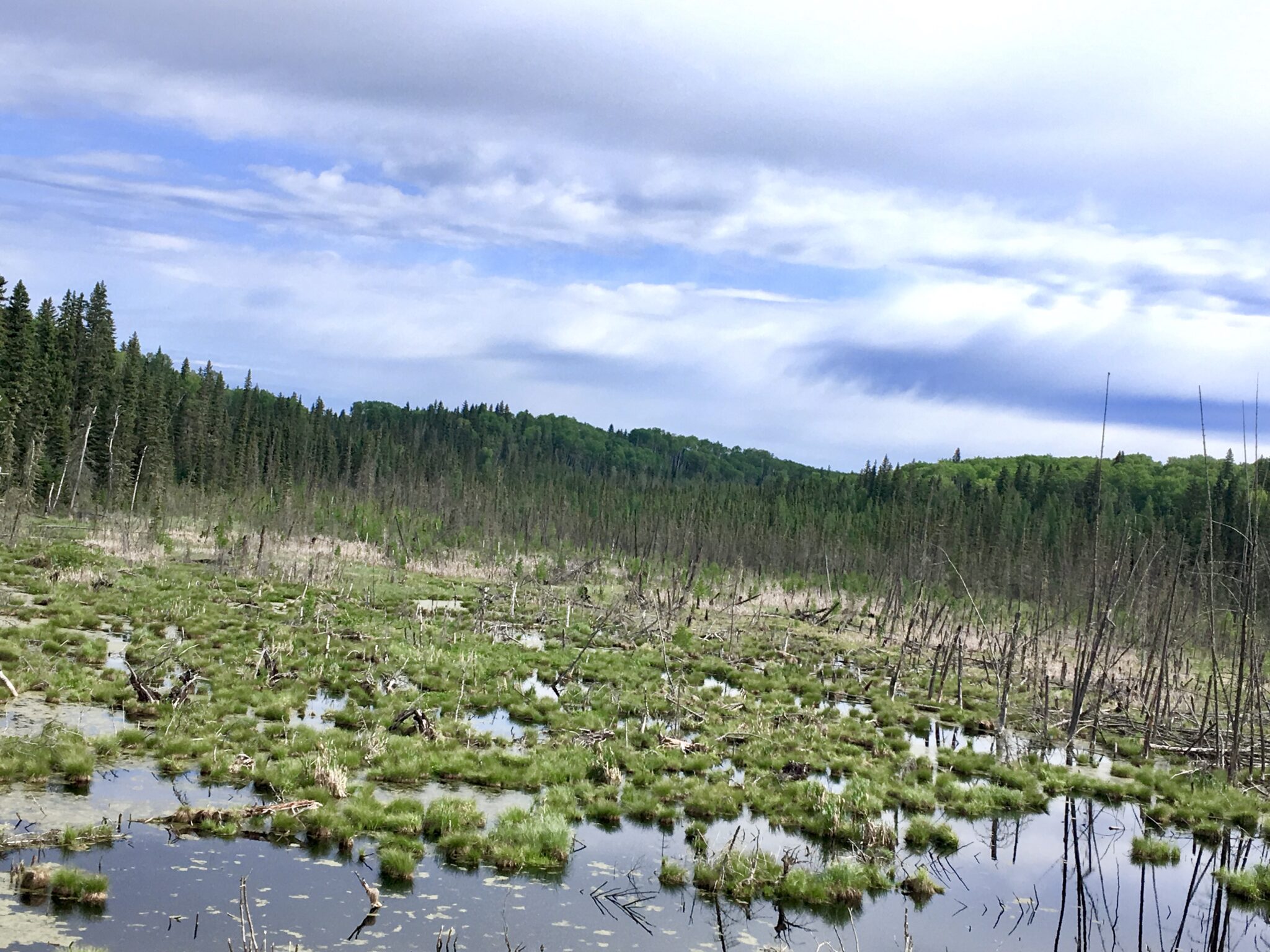 Scott Stapp on The Space Between the Shadows Tour with Special Guests ...